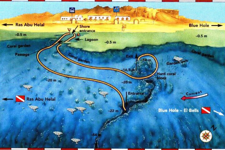 Aqua Fun Diving – Aqua Fun Diving Center