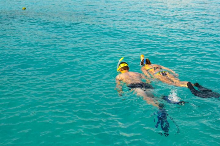 Aqua Fun Diving – Aqua Fun Diving Center