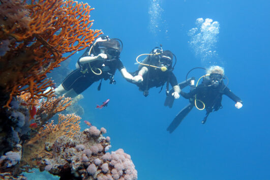 Aqua Fun Diving – Aqua Fun Diving Center